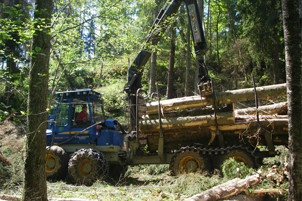 MDM Timber Ltd - TTJ Buyers Guide